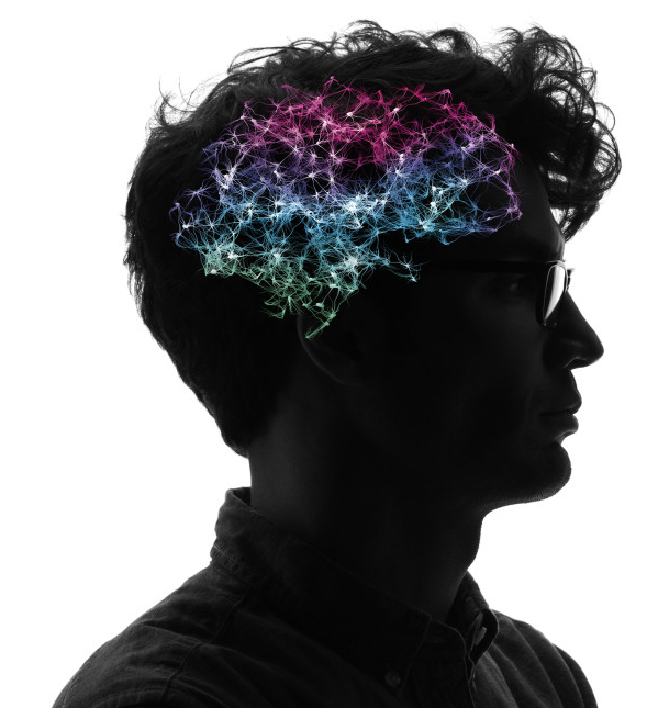 the smart and the idiot – entrepreneurial stories
